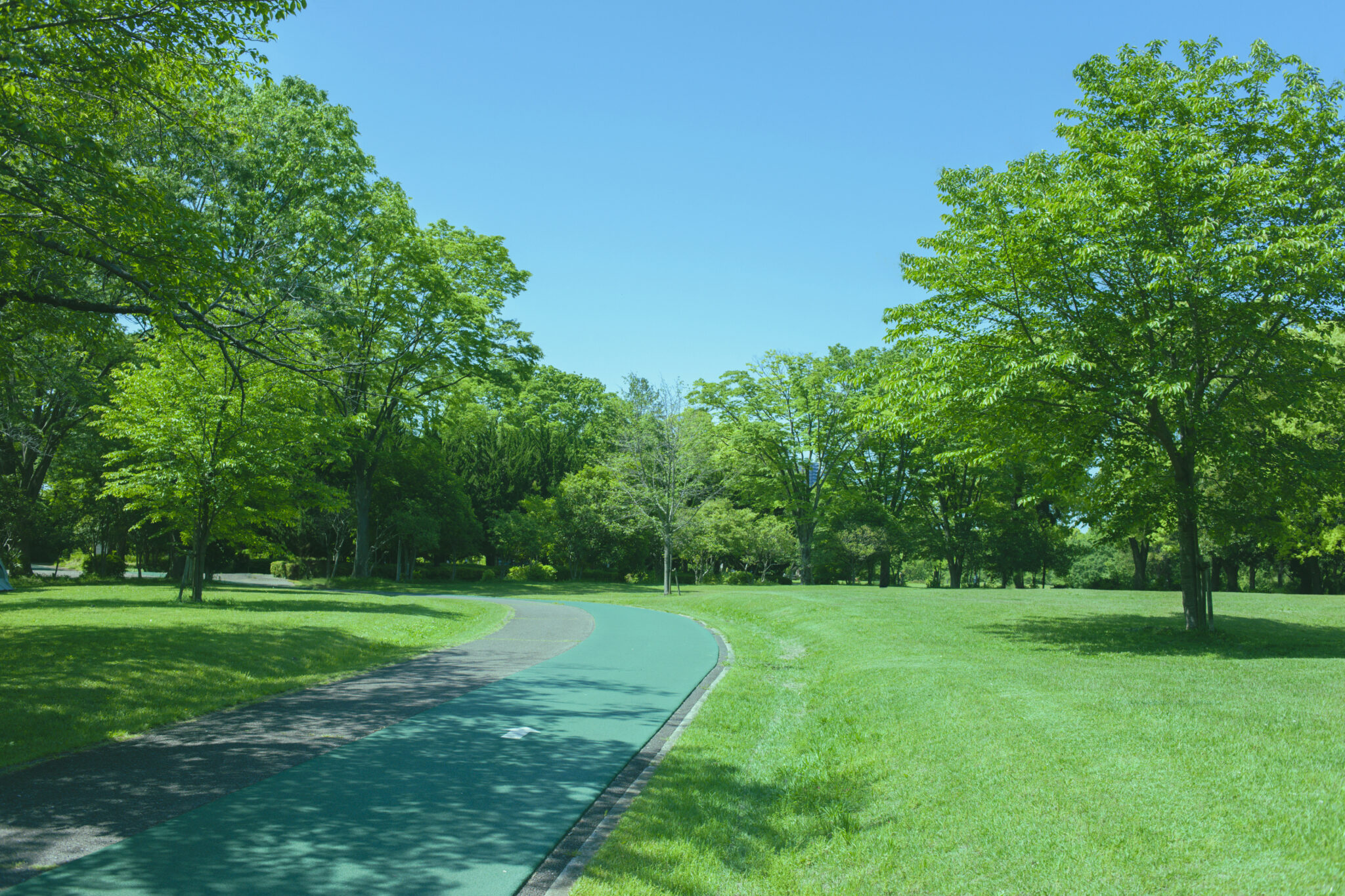 YMD NEXT×RUN｜オンライン・ランニングサポート – 市民ランナー・中高生・ダイエット目的の方まで。オンライン・マラソンパーソナルトレーニングサポート